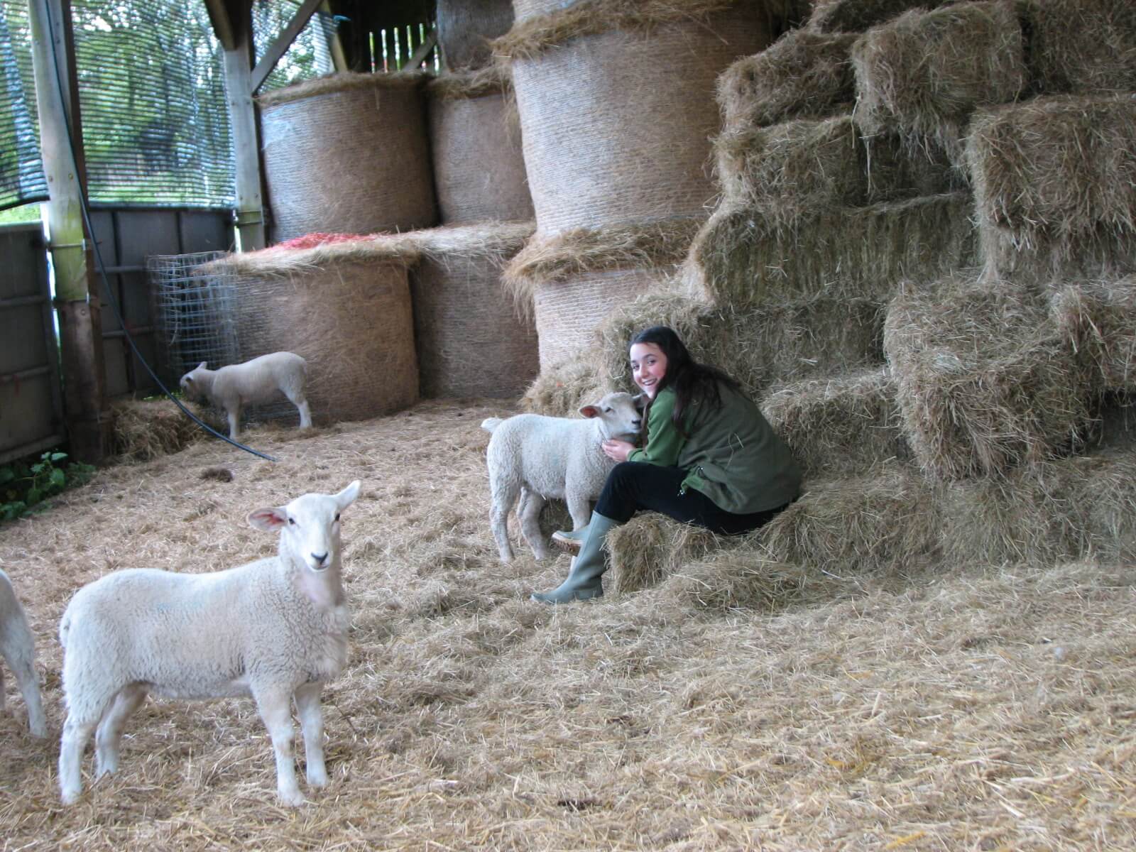 Care Farming - Countryways at Road Farm