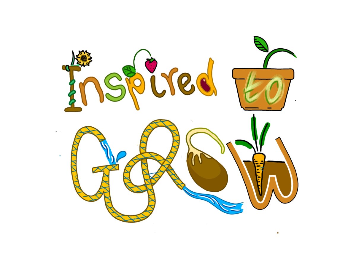 A review of our second 'Inspired to Grow' workshop - Growing ...